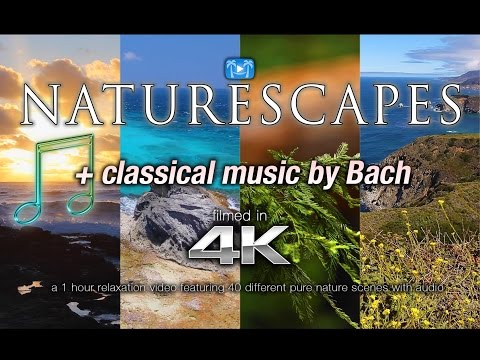 40 NATURE SCENES in 4K + Bach Classical Music | SedeSana